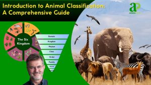 Introduction to Animal Classification: A Comprehensive Guide