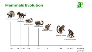 Mammals: Characteristics, Types, Classification, Behaviors, Facts ...