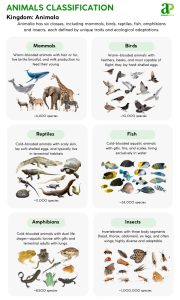 Taxonomic Ranks: Understanding Animal Kingdom Organization - Animal Pedia