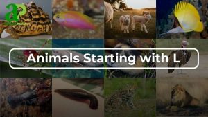 90+ Animals that start with L - Classified lists with Pictures and Fun ...