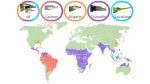 Crocodilia: Characteristics, Species, Habitat, Diet, Behaviors & Pictures