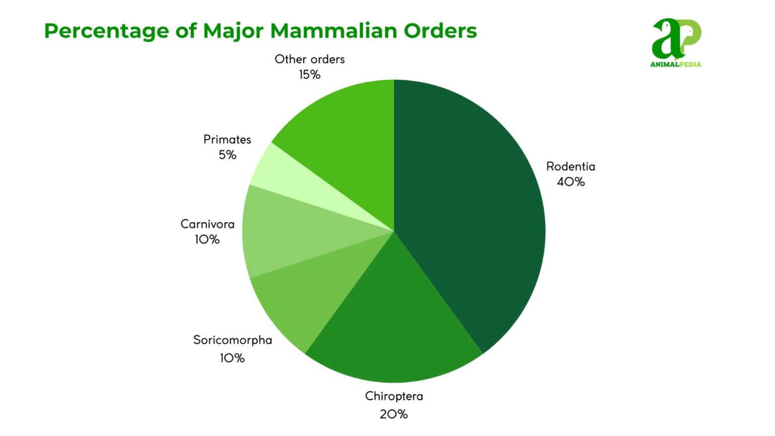 Mammals: Characteristics, Types, Classification, Behaviors, Facts ...