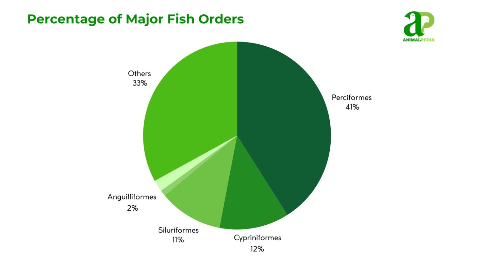 Fish: Definition, Characteristics, Classification, Types & Facts ...