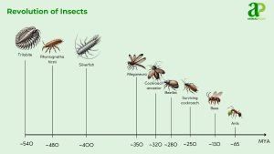Insects - Definition, Characteristics, Types, Behaviors & Facts