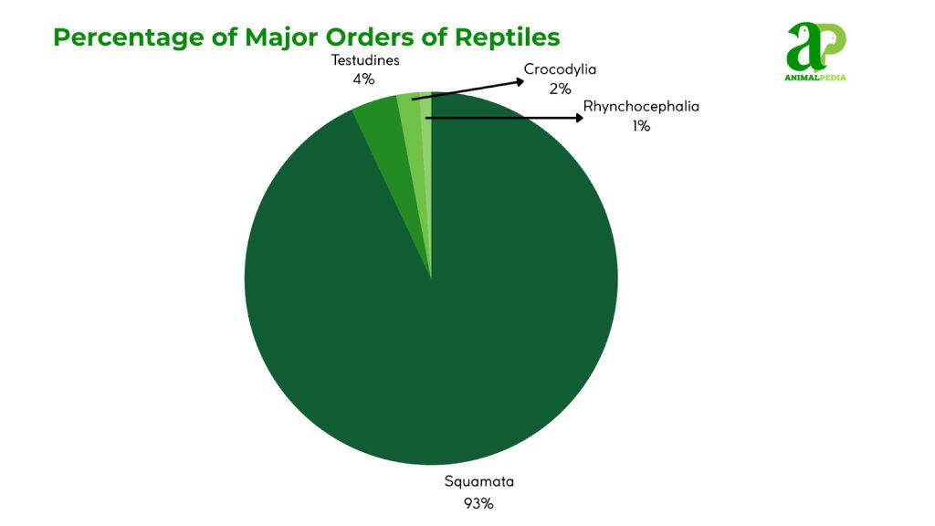 Reptiles: Characteristics, Classification, Evolution, Behaviors, Facts ...